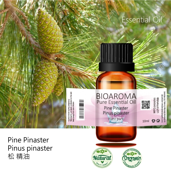 【純露工坊】松精油Pine Pinaster - Pinus pinaster 100ml | 蝦皮購物