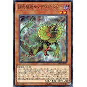 【DCT_緣夢の城】遊戲王 DP22-JP051 捕食植物毛氈苔傘蜥 普卡 90-95分 | 蝦皮購物