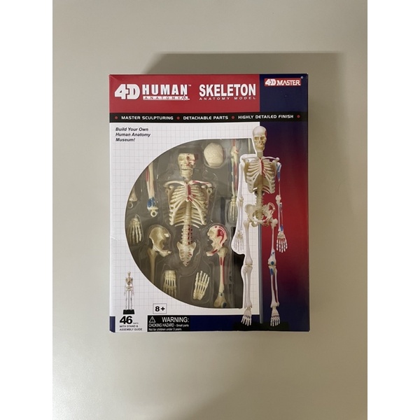 4D HUMAN SKELETON | 蝦皮購物