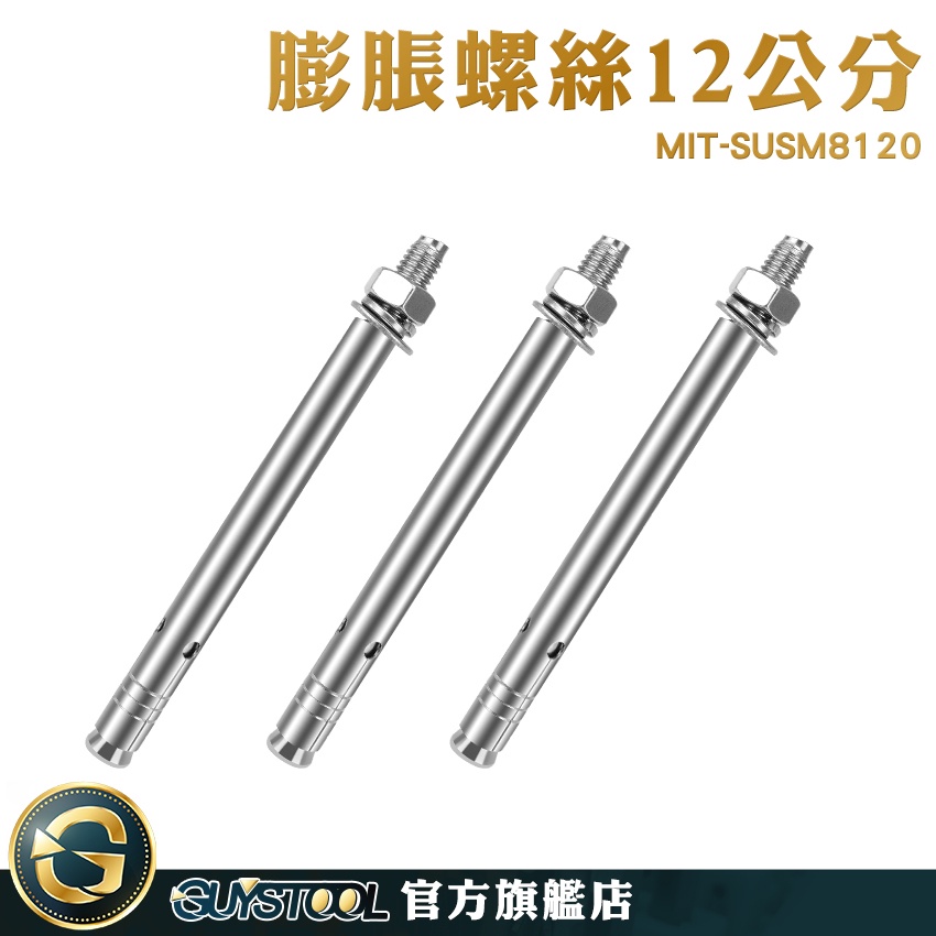 GUYSTOOL 緊固熱水器 螺絲壁虎 水處理工程用 螺絲 MIT-SUSM8120 壁釘 不鏽鋼膨脹螺絲 防護欄安裝 | 蝦皮購物