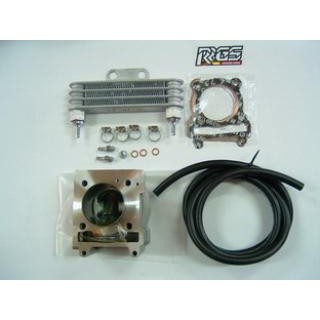 RRGS 58.5mm 汽缸組 勁戰 BWSR BWS 125 GTR 四代勁戰 新勁戰 引擎 改缸 | 蝦皮購物