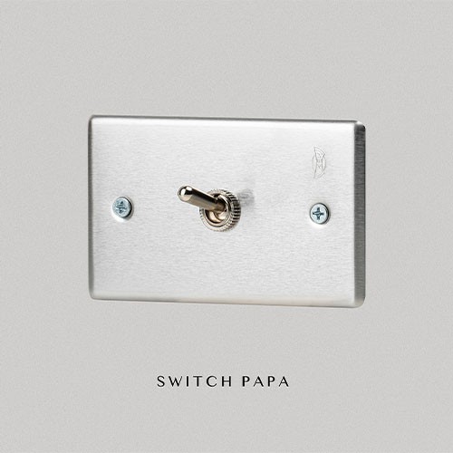 【SWITCH PAPA】不鏽鋼復古搖頭開關1開 | 蝦皮購物