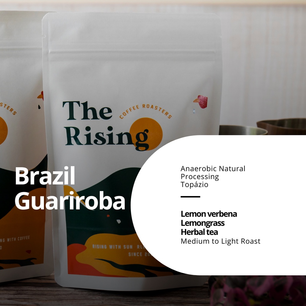 【巴西】檸檬草 厭氧日曬 Brazil Fazenda Guariroba Anaerobic Natural | 蝦皮購物