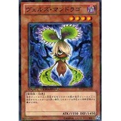 【DCT_緣夢の城】遊戲王 DT13-JP028&DTC2-JP105 略魔蔓陀羅 碎鑽/格鑽 90-95分 | 蝦皮購物