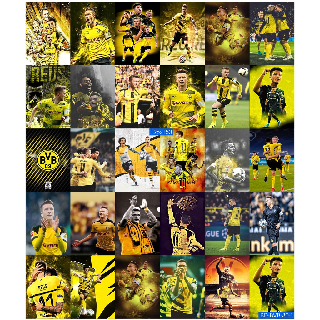一套 50 張 Borussia Dortmund BVB 足球牆貼花 | 蝦皮購物