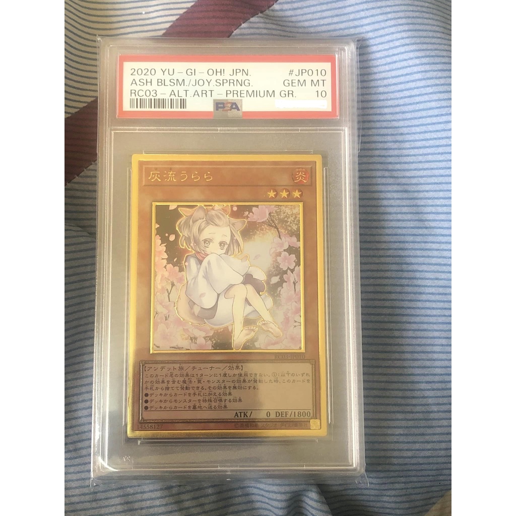 rc03-jp010 異圖黃金 灰流麗 | 蝦皮購物