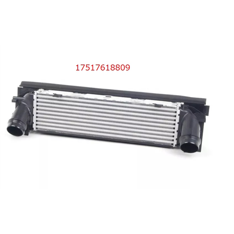 BMW F20 F22 F30 F31 F32 F34 F36 渦輪增壓冷卻器/中冷器17517618809 | 蝦皮購物