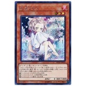 【DCT_緣夢の城】遊戲王 RC03-JP010&PAC1-JP016 灰流麗 異圖半鑽/亮面/普卡/金亮 90-95分 | 蝦皮購物
