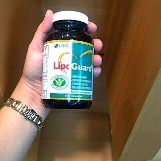 (免運)身寶寧 LipoGuard® 美商威望VIVA | 蝦皮購物