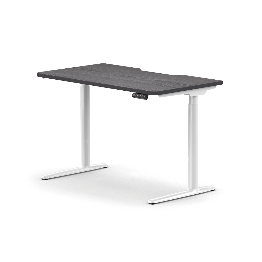 凱堡家居｜MOTTI 電動升降桌-Altto系列120cm 二節式靜音雙馬達 坐站兩用 防壓回彈 辦公桌/電腦桌/工作桌 | 蝦皮購物