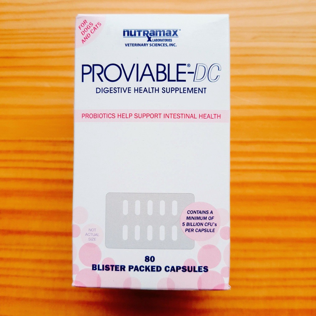 🐱即期出清·開發票🐱 Proviable-DC 寵物益生菌 犬貓用 80顆 | 蝦皮購物
