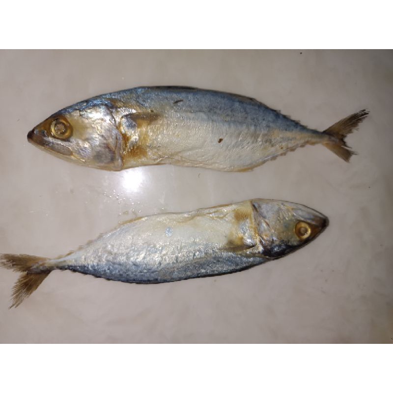 ikan asin peda basah | 蝦皮購物