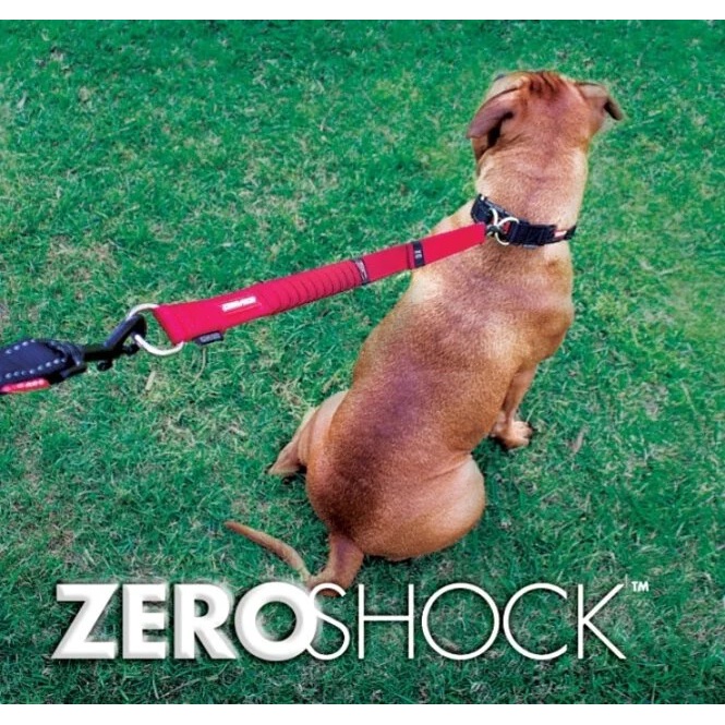 【現貨】EZYDOG｜零拉力延長繩 零拉力雙延長繩｜寵物牽繩 不銹鋼勾勾 貓狗適用 狗狗牽繩 貓貓牽繩｜ RBB | 蝦皮購物