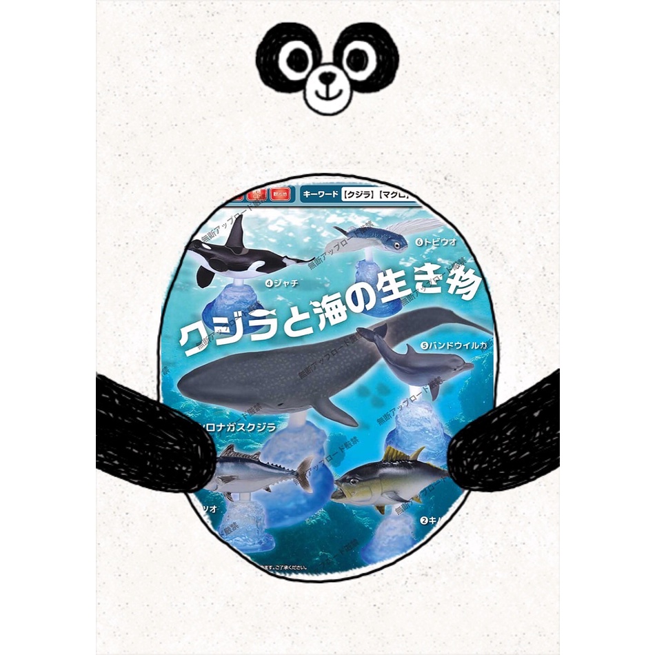 東扭西扭 『7月預購』鯨魚與海洋生物 扭蛋 隨機/指定/整套 全6款 Tarlin(EPOCH)『4/21結單』 | 蝦皮購物