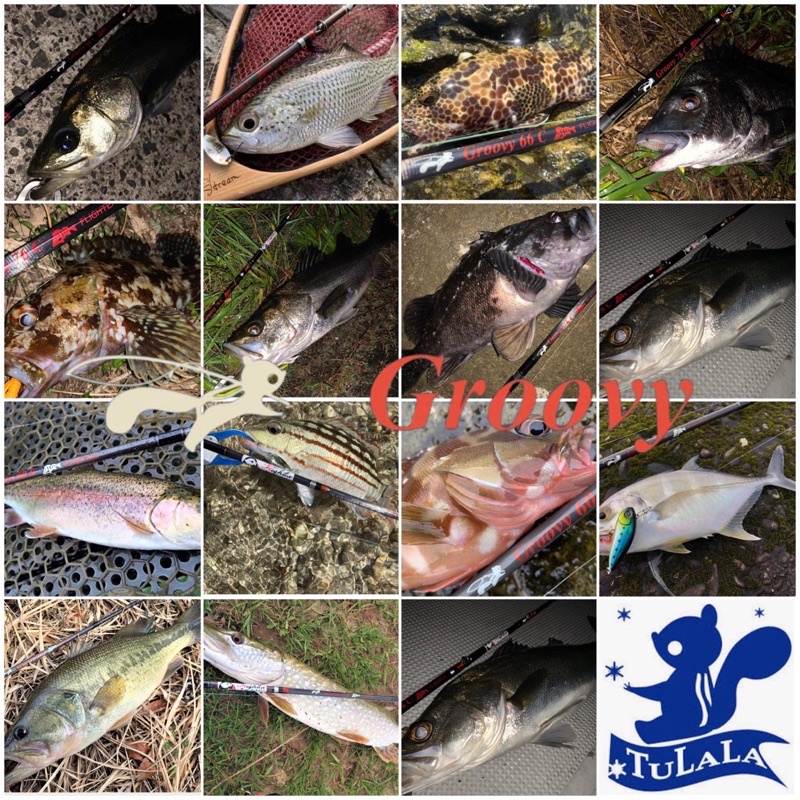 Tulala Groovy Lightex 76C 66C 80S 70S 60S 根魚竿 微拋竿【小蝦米釣具】 | 蝦皮購物