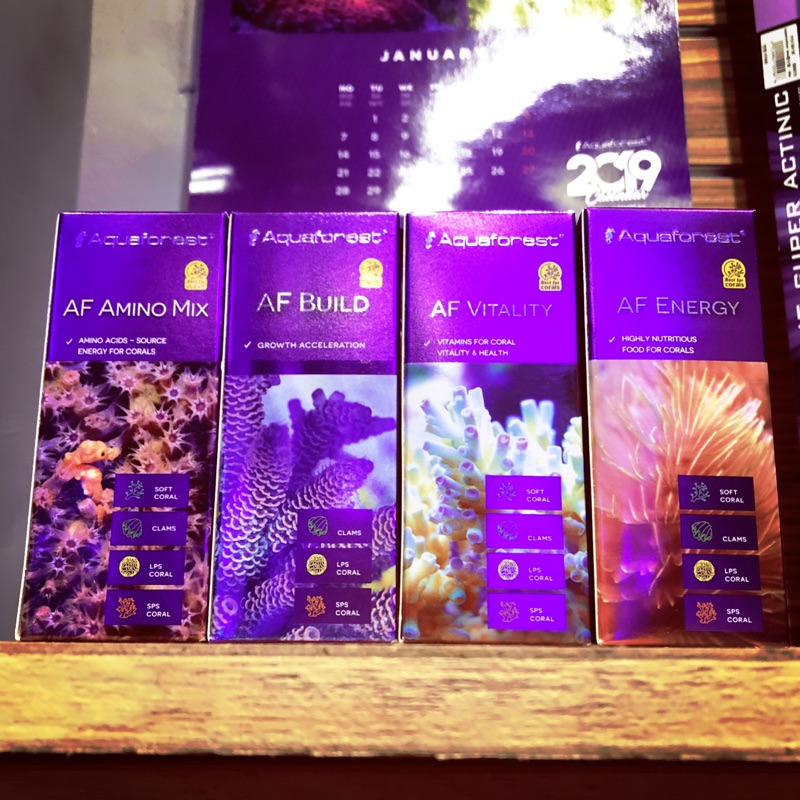 【藍箱水族】AF Build 10ml/50ml | 蝦皮購物