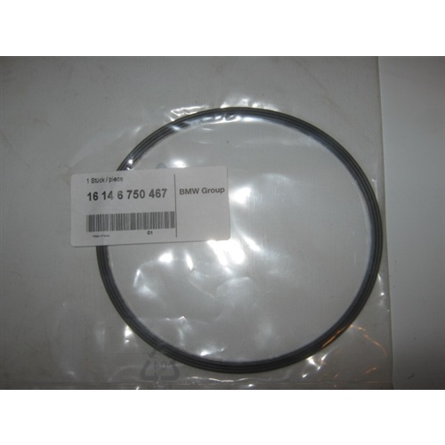 【SFF雙B賣場】BMW E60/E61/E63/E64/E65/E66 E83/X3 原廠 油箱浮筒墊圈 | 蝦皮購物