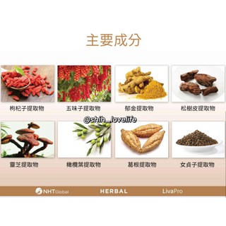 [NHT] 活盾膠囊 LivaPro | 揮別肝苦好幫手～ | 蝦皮購物