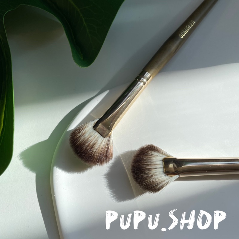 Pupu.shop♡台灣現貨｜GOGORHEA 34扇形高光刷 打亮刷 修容刷 化妝新手必入 | 蝦皮購物