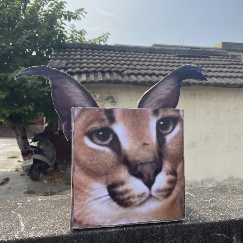 ️僅有一隻 ️大型 Floppa 方塊 公仔 獰貓 貓 可愛 趣味 擺飾 生日禮物 交換禮物 迷因 meme | 蝦皮購物