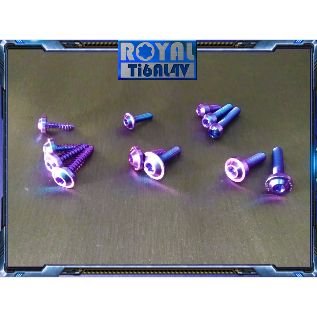 【瘋螺絲】ROYAL鈦合金螺絲★M4.M5 鐵板牙/公制牙 複選 64正鈦螺絲★CNC鍛造內梅花.內星型螺★幻彩藍 | 蝦皮購物