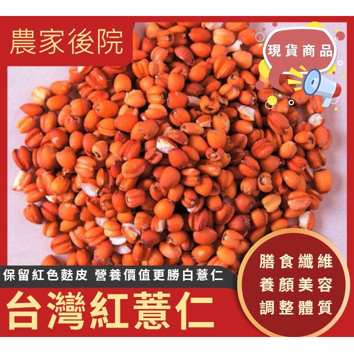 🎋農家後院-紅薏仁🎋 Red Job's tears 台灣產 保留紅色敷皮 營養加分 補充膳食纖維 三日內快速出貨 | 蝦皮購物