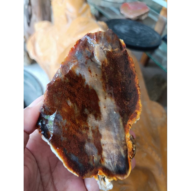 Kayu 石材 POSIL 木頭 CITEPO Y14 | 蝦皮購物