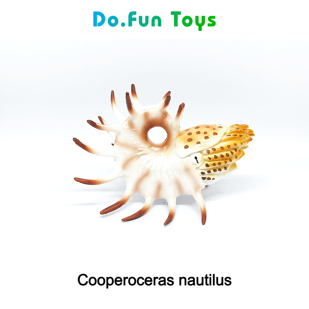 動物雕像 Cooperoceras 微型玩具 Nautilus Cooperoceras | 蝦皮購物