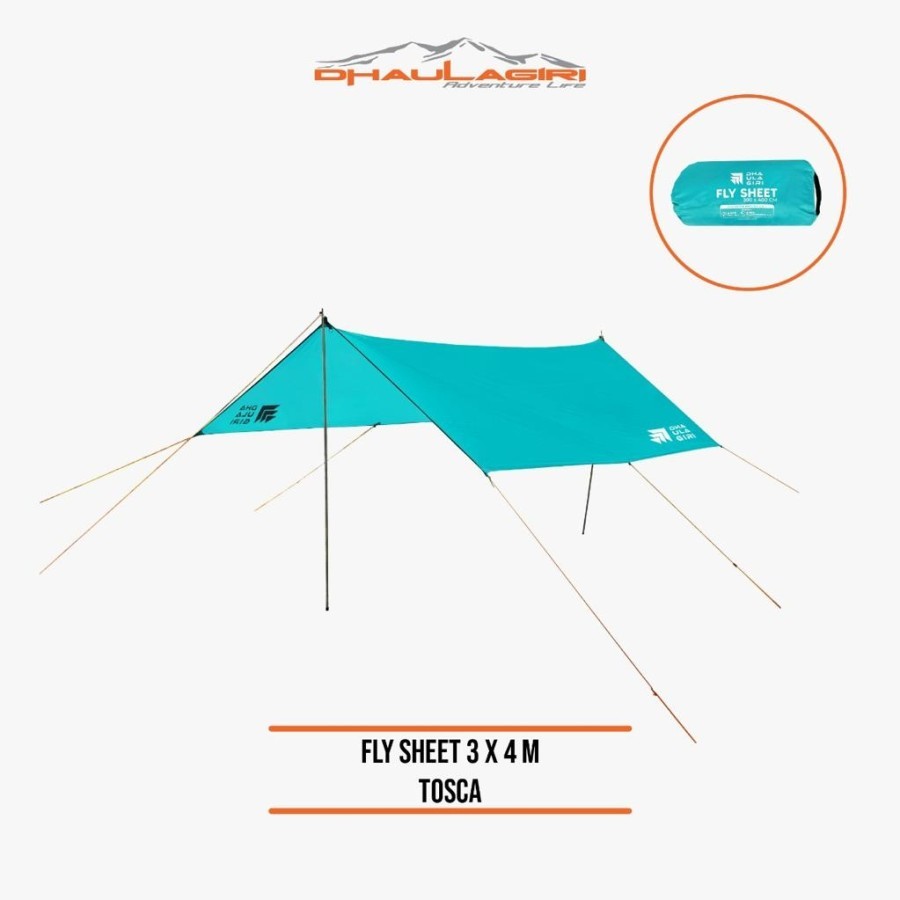 Flysheet 3X4 I/FLY SHEET SET/FLY SHEET 一套/FLY SHEET 一套/帶釘帶的背 | 蝦皮購物