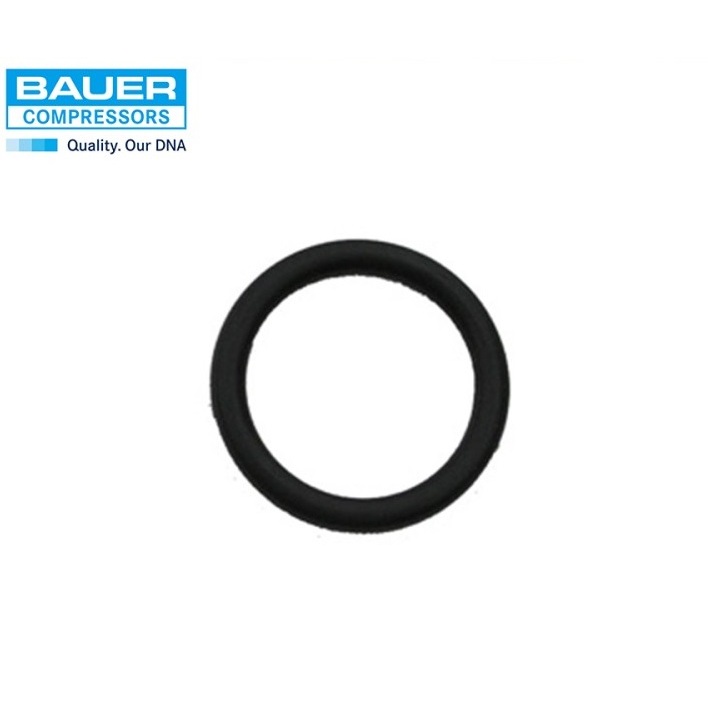 壓縮機備件 N2789 Bauer Oring 壓力閥 014121 | 蝦皮購物