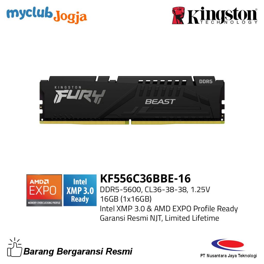 RAM DDR5 16GB 5600MHz EXPO XMP 金士頓憤怒的野獸 DDR5 KF556C36BBE-16 | 蝦皮購物