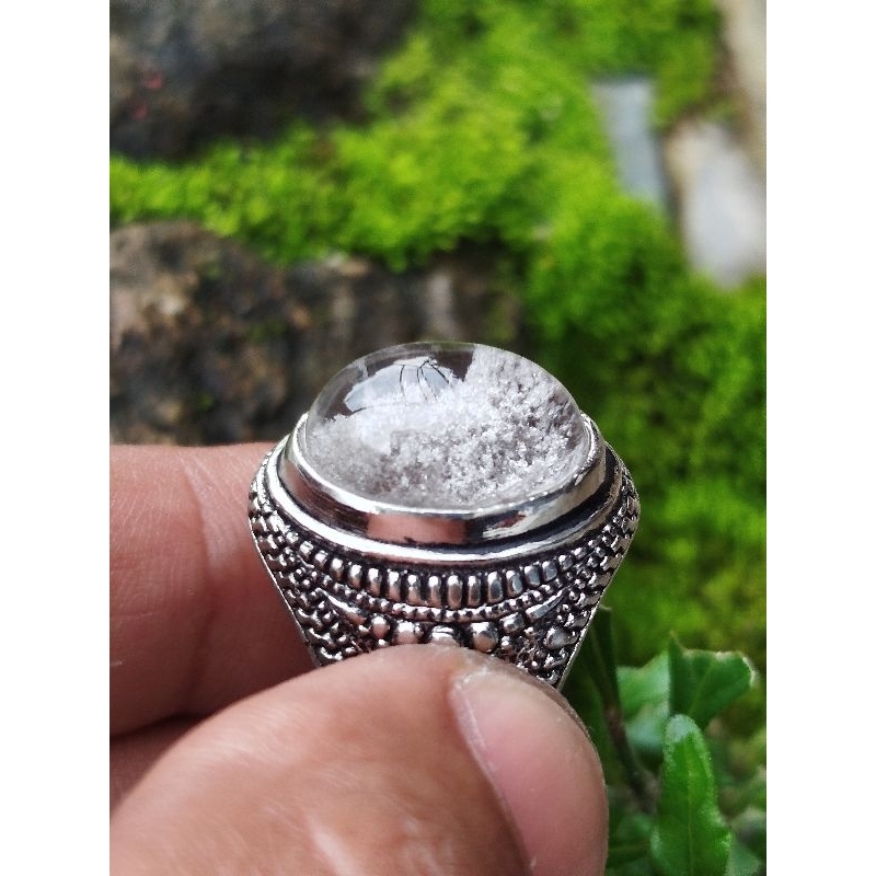 Putih Kinyang 超白珊瑚 | 蝦皮購物