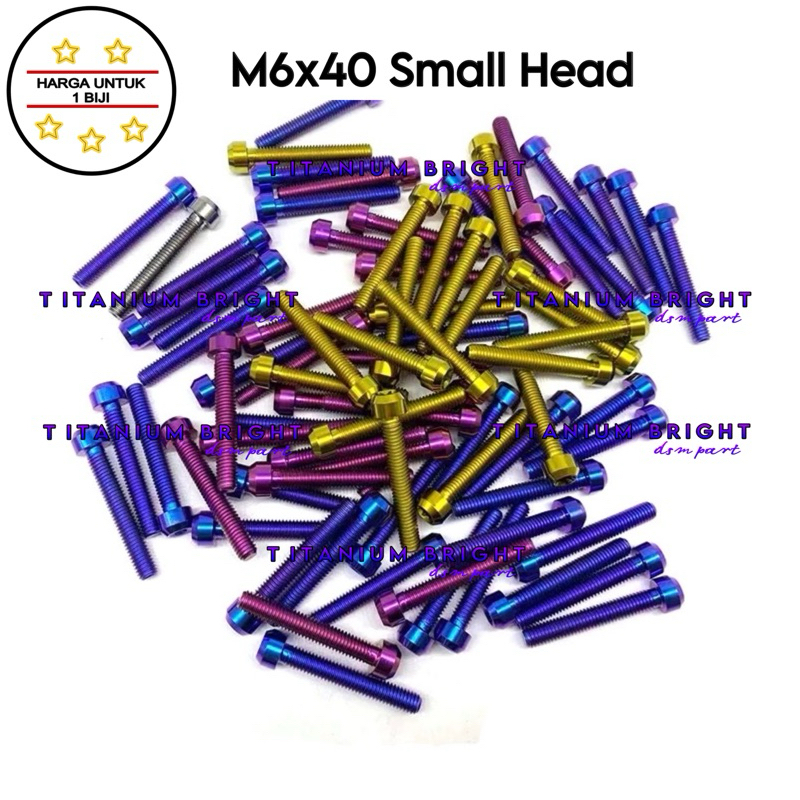鈦螺栓m6x40小頭螺紋10長4cm原裝鈦gr5 | 蝦皮購物