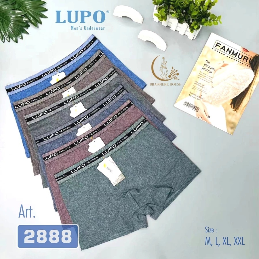 Celdam CORNER 內褲 Lupo CD 平角內褲 Kolor Sempak 男式成人 2888 | 蝦皮購物