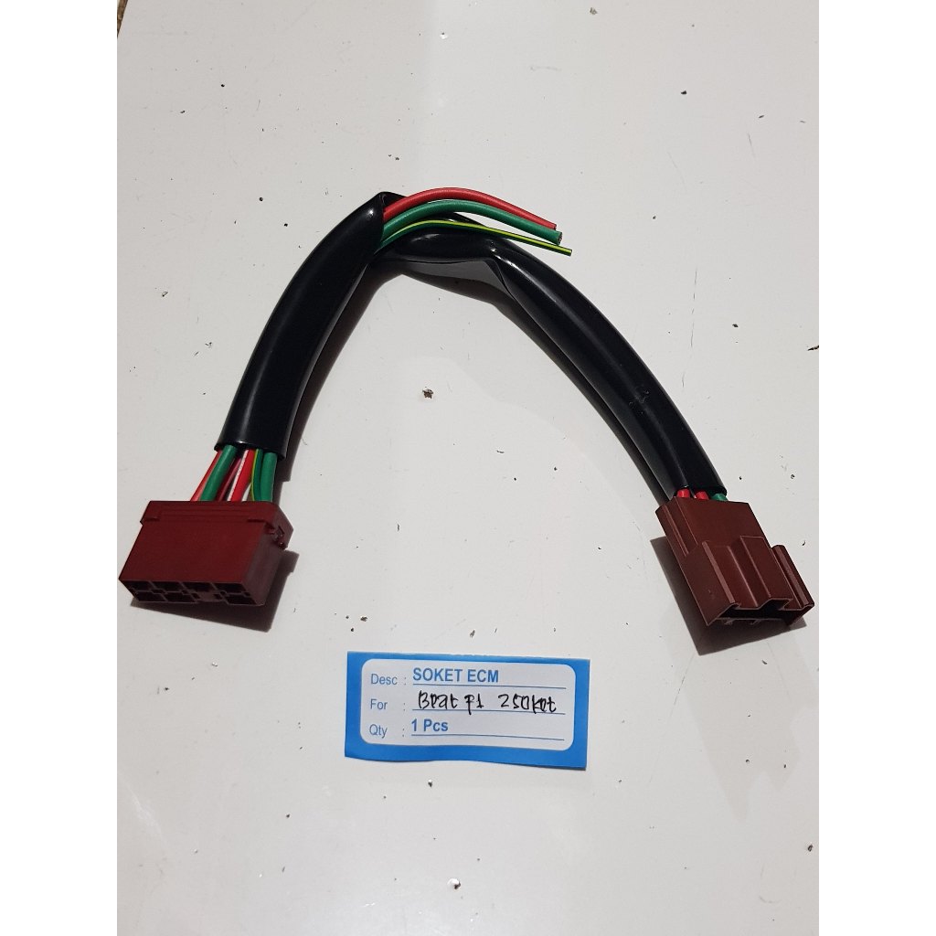 常規 ECM ECU 插座 Beat Fi Beat Pop Beat 街道 Scoopy Fi Vario 110 F | 蝦皮購物