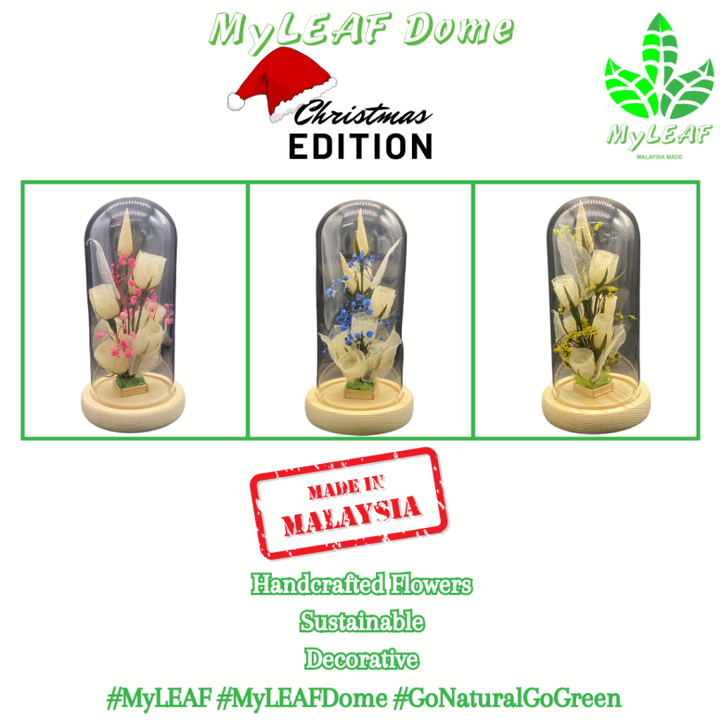 Myleaf 圓頂橡膠葉卷玫瑰花圓頂聖誕紀念品婚禮聖誕情人節 | 蝦皮購物