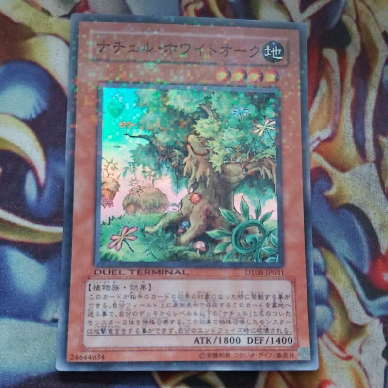 卡片屋 遊戲王 DT08-JP031 亮面點鑽 自然白橡樹 | 蝦皮購物