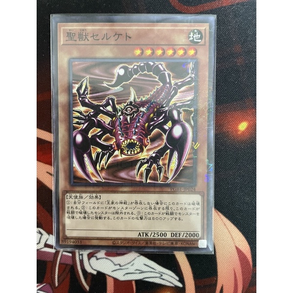 【路過的閃刀姬】遊戲王PGB1-JP024 聖獸瑟爾肯特（古文鑽）遊戲王PGB1 | 蝦皮購物