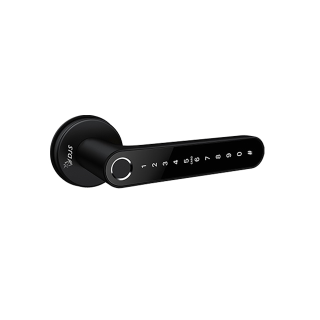 【一把值得您擁有的電子鎖】DJS-SK11 經典旗艦全功能智慧電子鎖｜指紋鎖｜台灣NCC合格認證 | 蝦皮購物