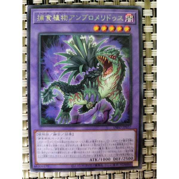 遊戲王 DIFO-JP037 捕食植物走鯨食蟲鳳梨 (銀字) | 蝦皮購物