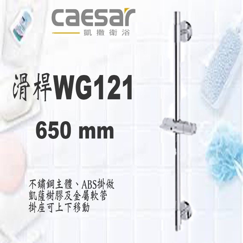 Caesar 凱撒 WG121 WG121B 滑桿 可調整 SPA淋浴用 升降滑桿組 蓮蓬頭滑桿 不鏽鋼 滑桿 把手滑桿 | 蝦皮購物