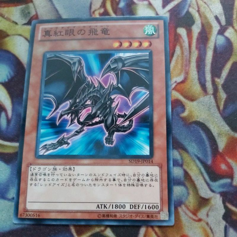 卡片屋 遊戲王 SD19-JP014 SR02-JP009 普卡 真紅眼的飛龍 | 蝦皮購物