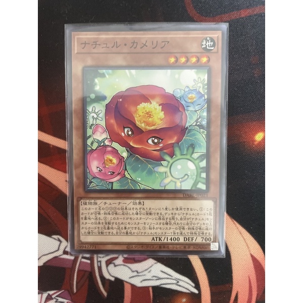 【路過的閃刀姬】遊戲王DABL-JP021 自然山茶花（普卡）遊戲王1110 | 蝦皮購物