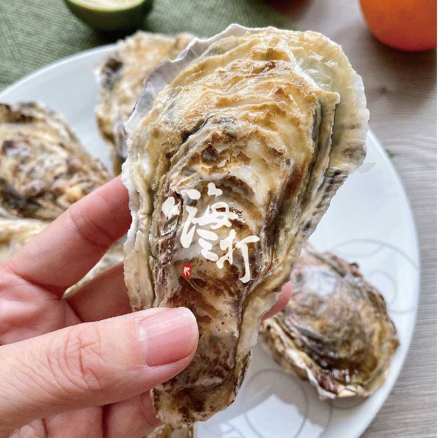 日本生蠔 可生食標章 室津全殼生蠔 5顆/包【 嗨三打】 | 蝦皮購物