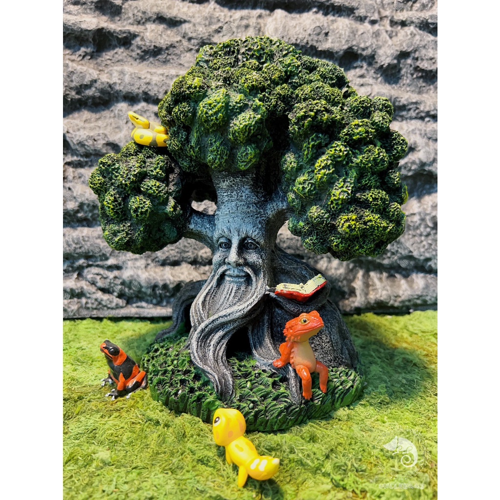 蛋叔叔-KC066-長生樹/格魯特/造景/樹洞/沉木/保濕/短雕/螯蝦/劍毒蛙/玉米蛇/劍毒蛙/米蝦/黃金流木/洞穴 | 蝦皮購物