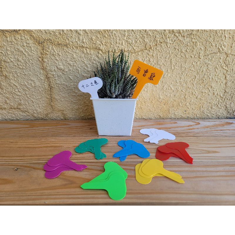 T型花牌 （小TTTTTTT） 5×7公分 多肉標籤 花牌 植物標籤 | 蝦皮購物