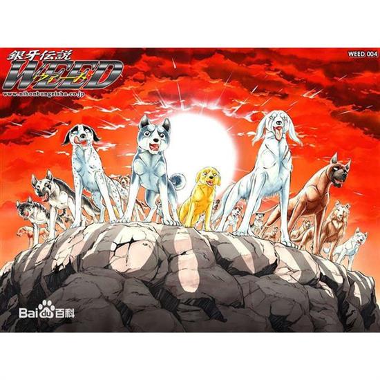影視優選-#DVD經典卡通 銀牙傳說WEED 2D | 蝦皮購物