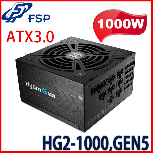【3CTOWN】含稅 FSP 全漢 1000W ATX3.0 金牌 HG2-1000 HYDRO G PRO 電源供應器 | 蝦皮購物