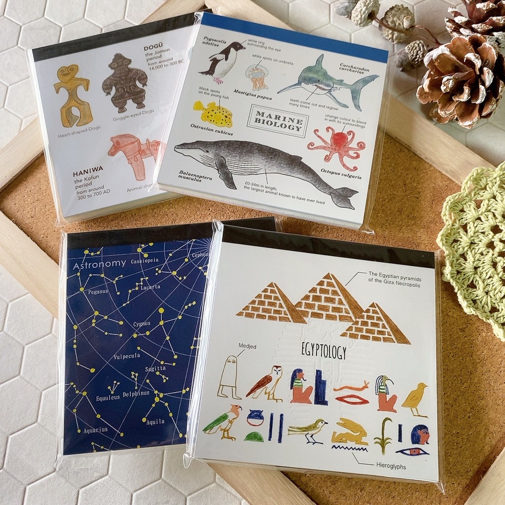 ⚡️現貨折扣⚡️【Green Flash】Study Holic 便條紙 記事本 天文學 埃及 古物 海洋生物 文具 | 蝦皮購物