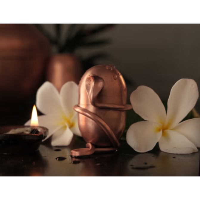 💛Isha Jeevarasam 聖化銅罐 為飲用水注入高能量 經薩古魯開光 在家聖化飲用水 印度原裝 | 蝦皮購物